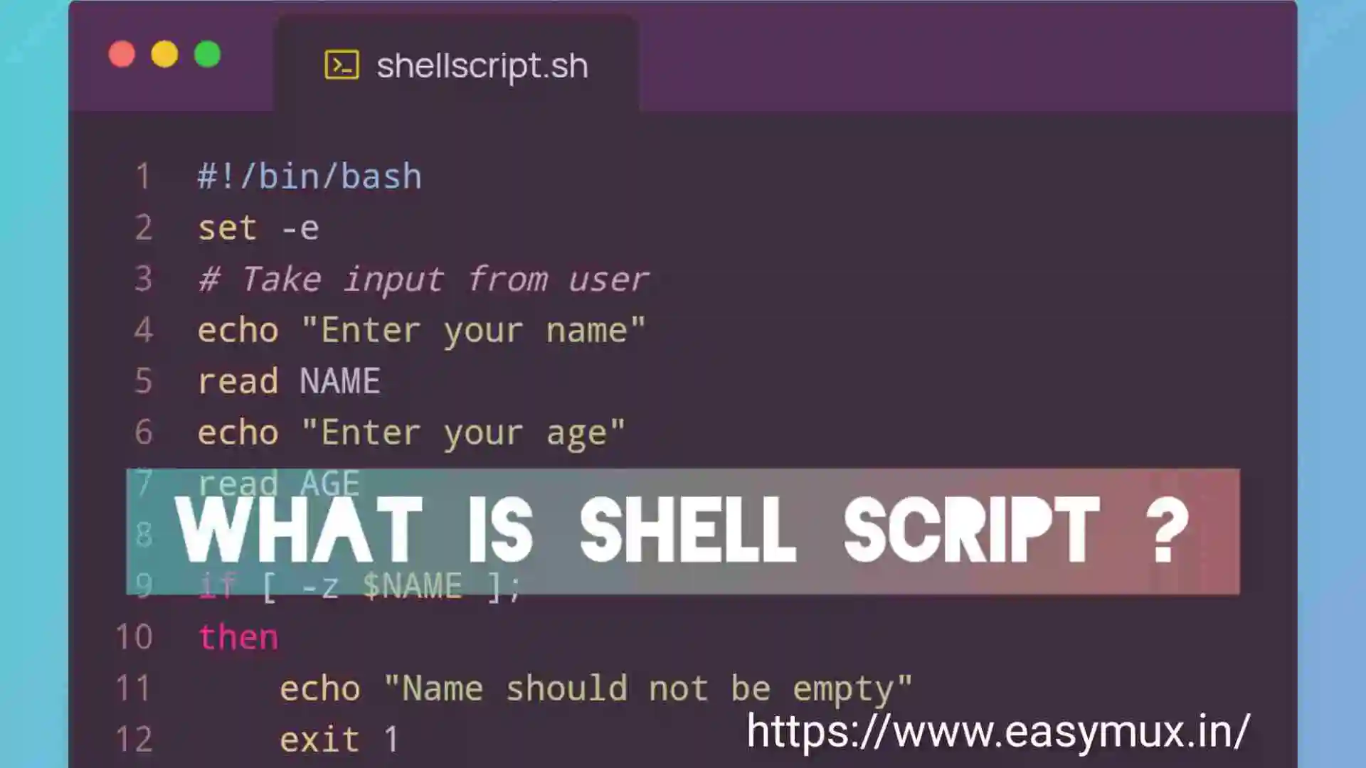 What Is Shell Script Key Elements Of Shell Script Easymux