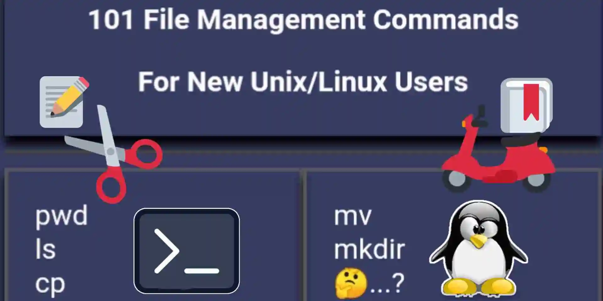 File Management 101 Basic Commands For New Users Easymux